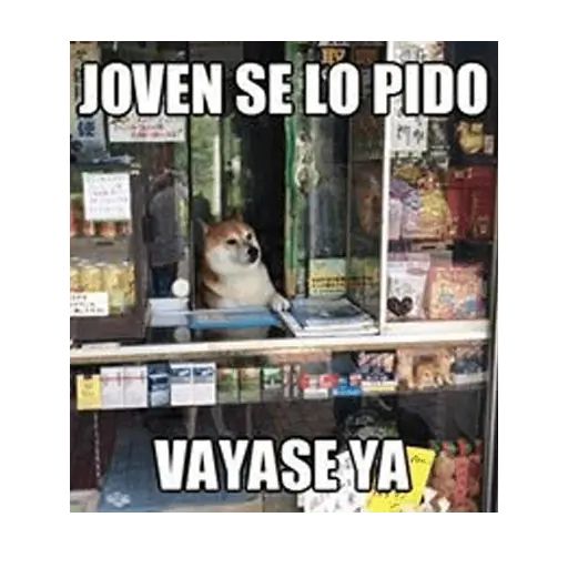 Pack de stickers para Telegram «Ahorita no joven...»