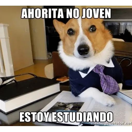 Pack de stickers para Telegram «Ahorita no joven...»
