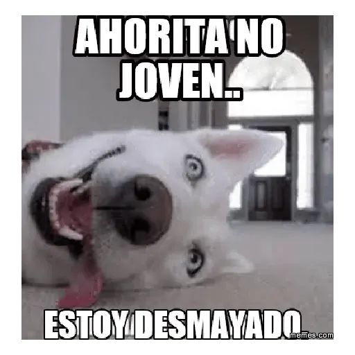 Pack de stickers para Telegram «Ahorita no joven...»
