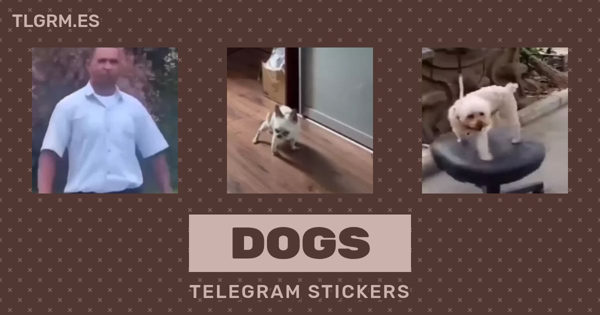 Pack de stickers animados para Telegram «Dogs»