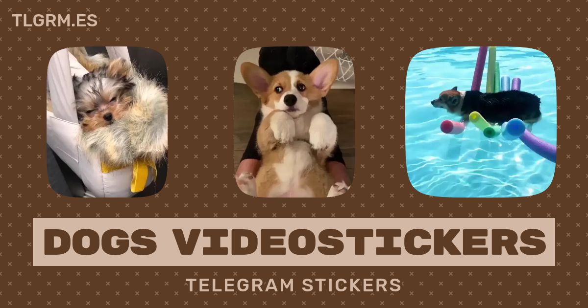 Pack de stickers animados para Telegram «Dogs Videostickers»