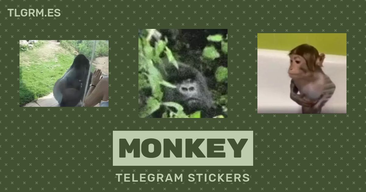 Pack de stickers animados para Telegram «Monkey»