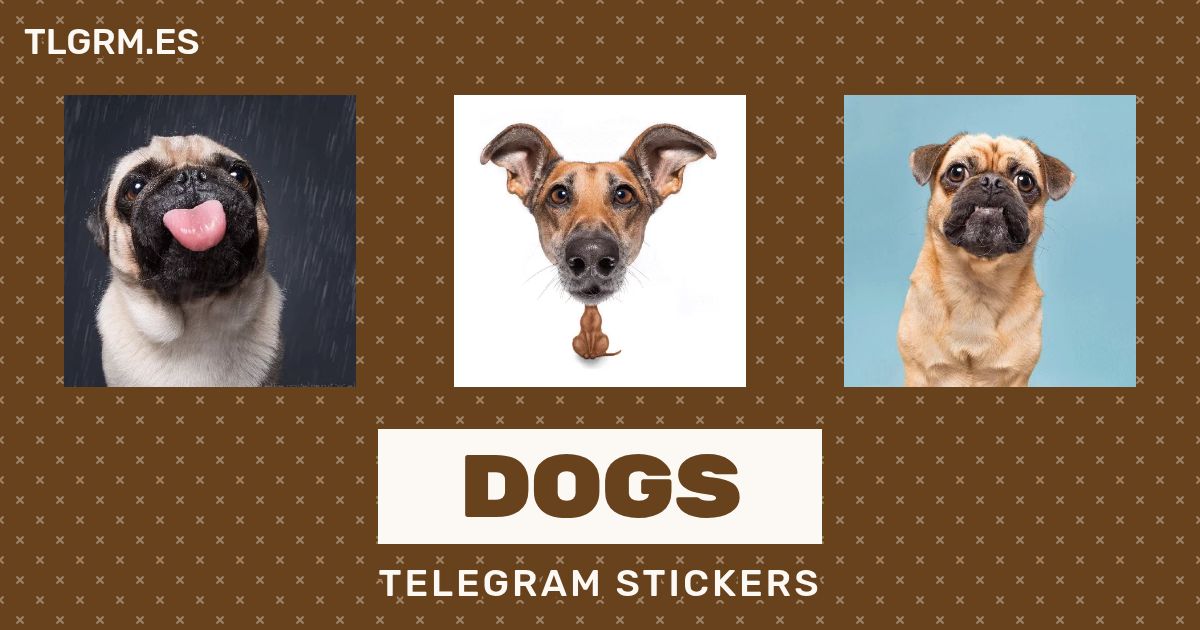 Pack de stickers para Telegram «Dogs»