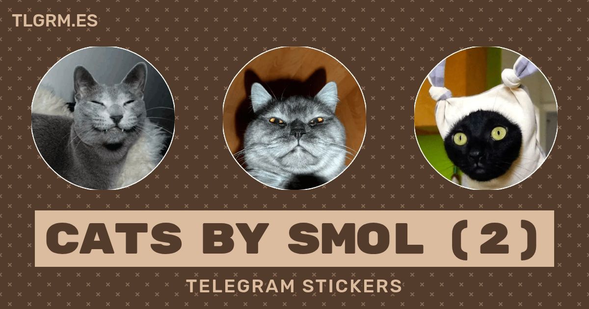 Pack de stickers para Telegram «Cats by Smol (2)»