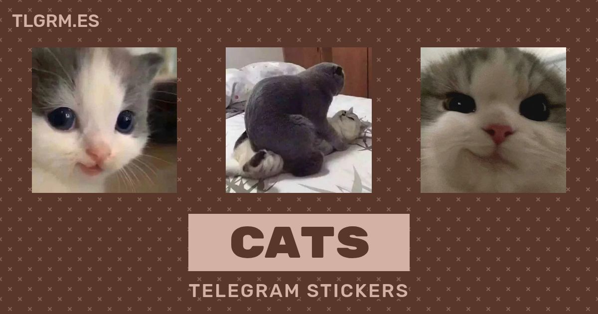 Pack de stickers para Telegram «Cats»