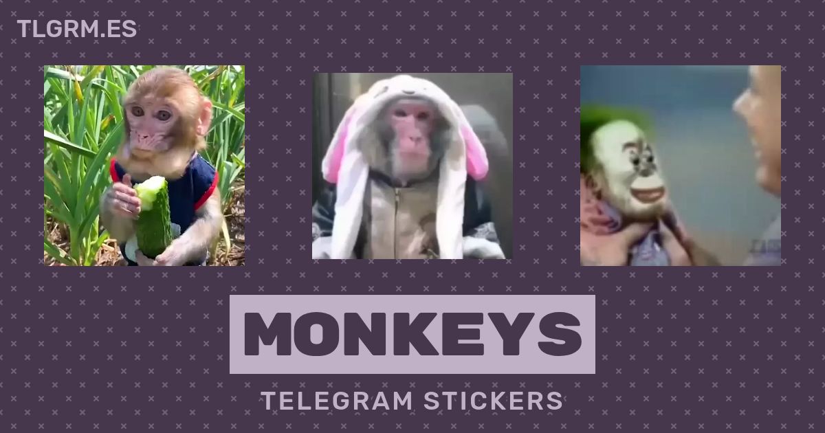 Pack de stickers para Telegram «Monkeys»
